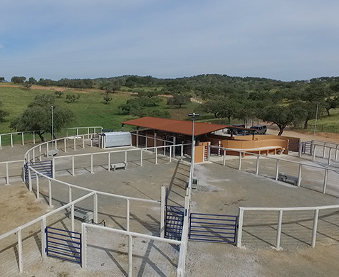 Pesquisa e Desenvolvimento – Portugal Rural